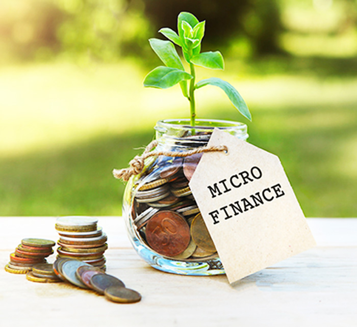 Nirmaldhara Micro Foundation